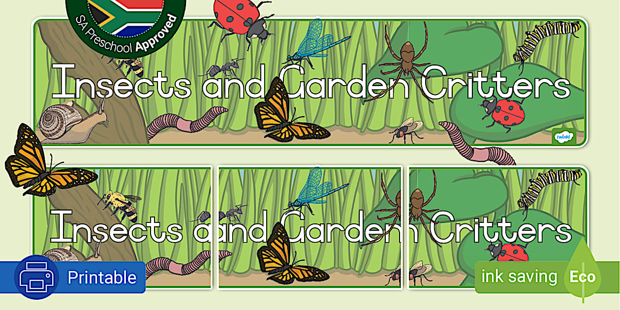 Insects and Garden Critters Display Banner - Twinkl