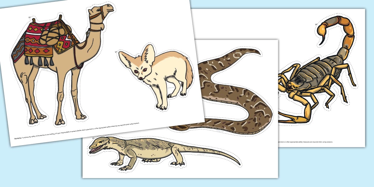 Desert Animals Photo Display Cut-outs - Twinkl