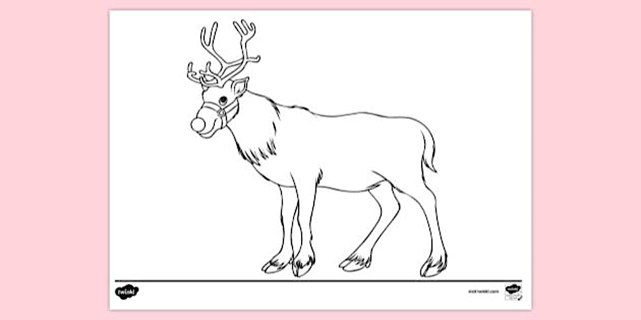 Reindeer Colouring Sheet | Twinkl Resources (teacher made)