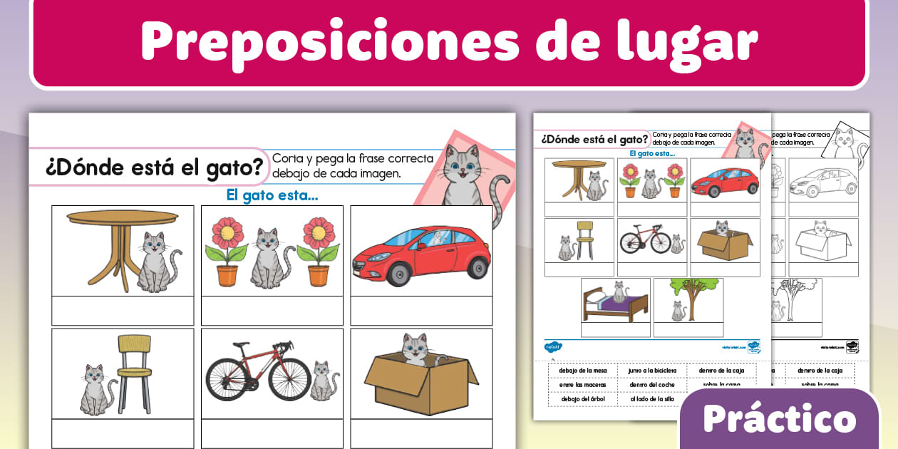 ¿Dónde está el gato? Hoja de trabajo sobre preposiciones