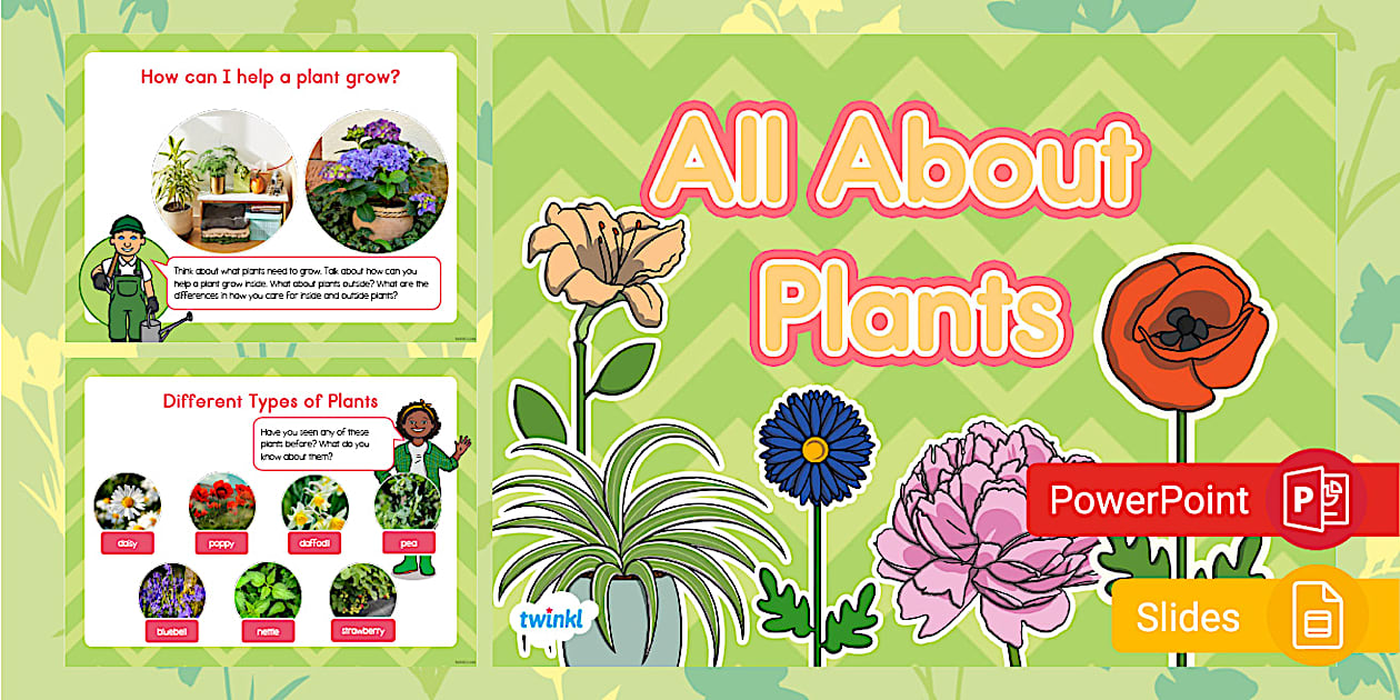 All About Plants PowerPoint & Google Slides for PK-K