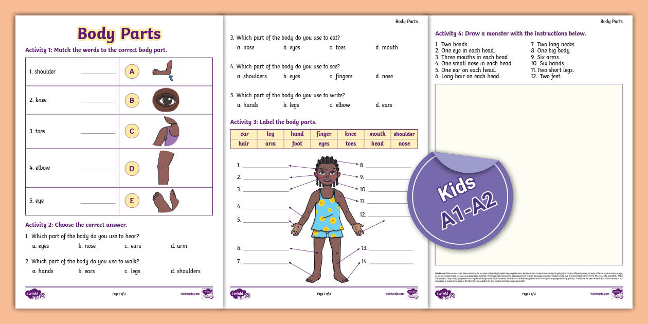 ESL Body Parts Worksheet [Kids, A1-A2] (teacher made)