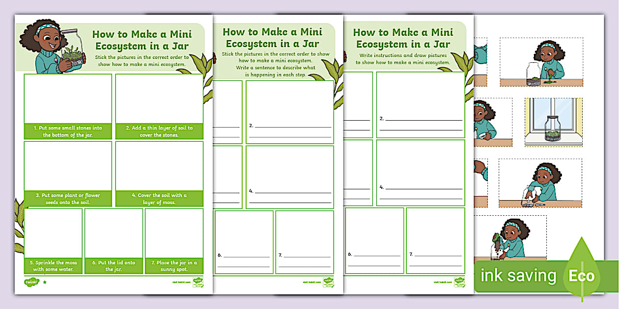 How to Make a Mini Ecosystem in a Jar - Biodiversity - KS1