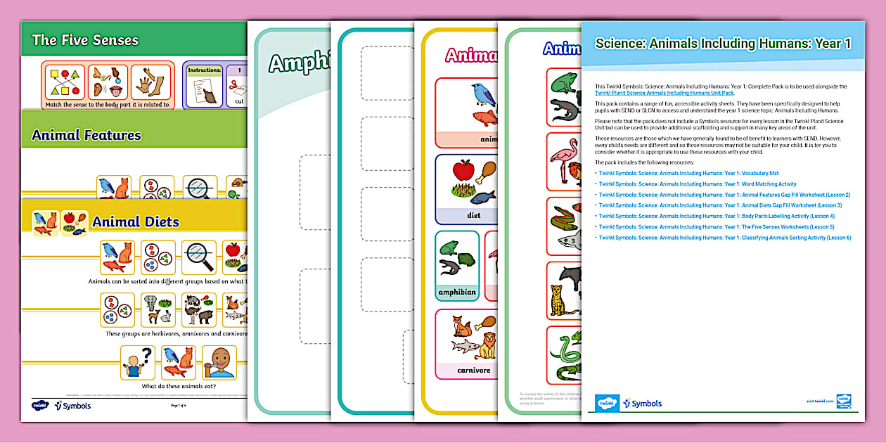Twinkl Symbols: Science: Year 1: Complete Pack - Twinkl