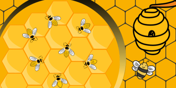World Bee Day | Event Info & Teaching Resources | Kuwait