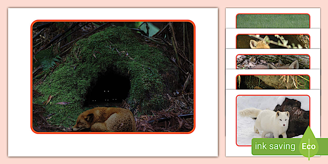 Fox Dens Photo Pack (teacher made) - Twinkl