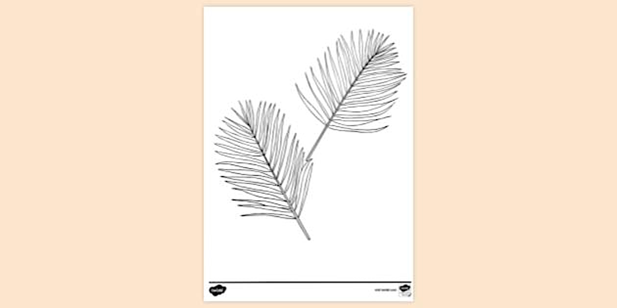 Colouring Sheet | Colouring Sheets (Hecho por educadores)