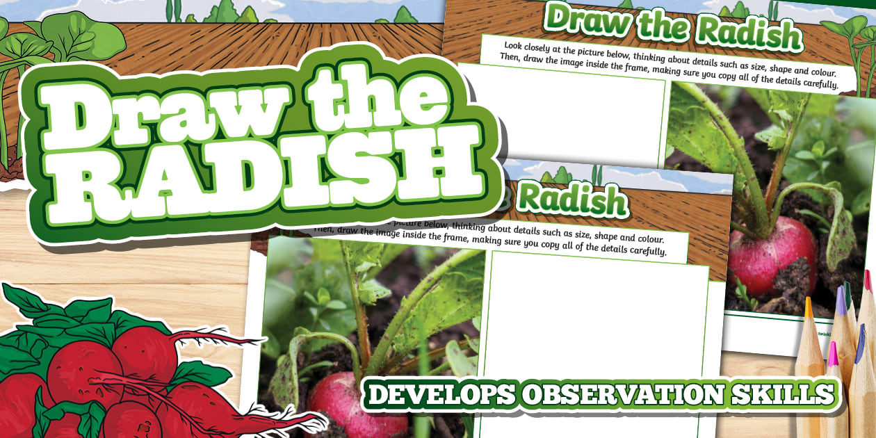 Draw the Radish Worksheet