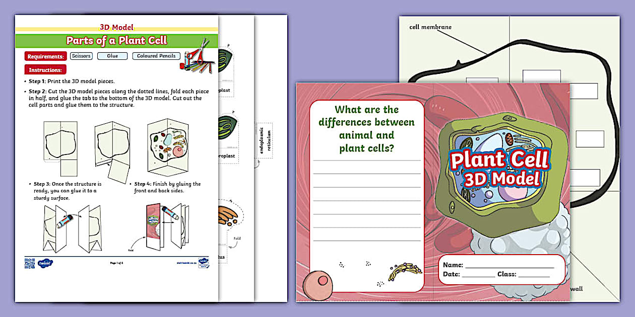Grade 9 NS - Term 1 - Parts of a Plant Cell - 3D model
