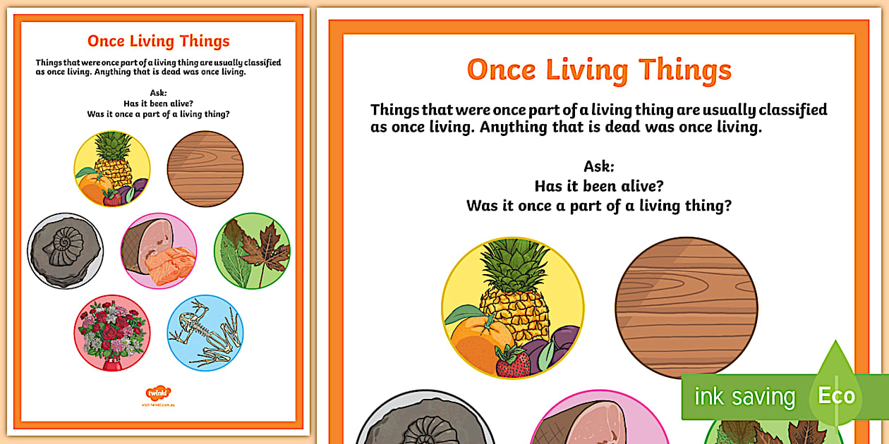 Once Living Things Display Poster (teacher made) - Twinkl