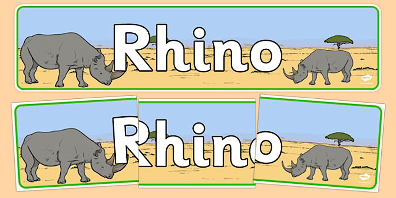 👉 Rhino Display Banner (Hecho por educadores) - Twinkl