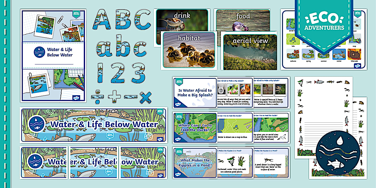Year 1 Water & Life Below Water Display Pack (teacher made)
