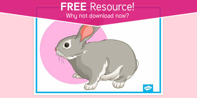 FREE! - Bunny Rabbit Poster | Display | Twinkl Primary Resources