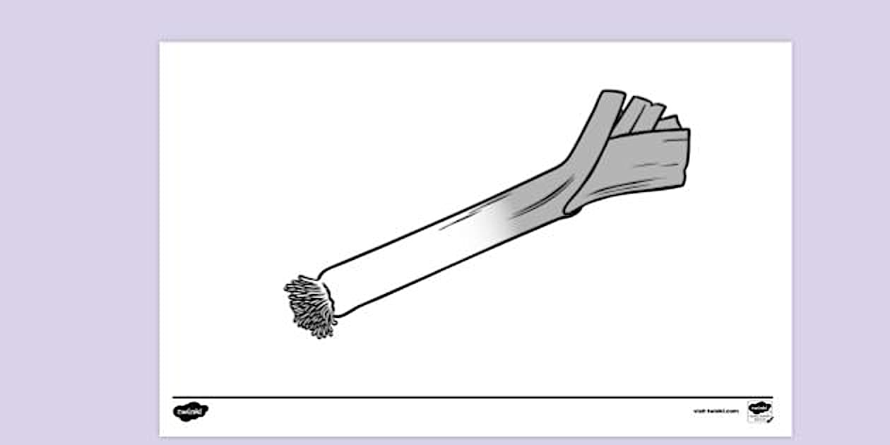trimmed leek Colouring | Colouring Sheets (teacher made)
