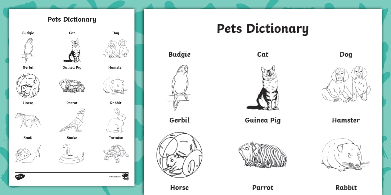 Pets Dictionary Colouring Sheet (teacher made) - Twinkl