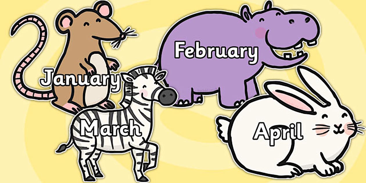 Months of the Year on Cute Animals (teacher made) - Twinkl