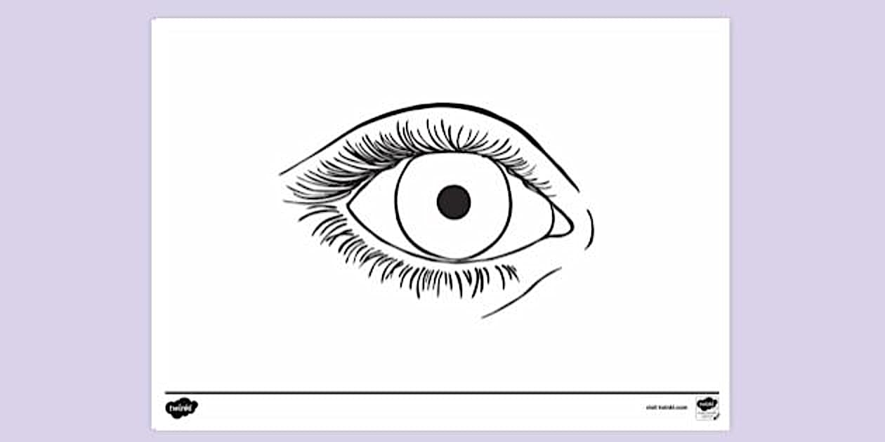Diagram of the Eye Front View No Labels Colouring Sheet