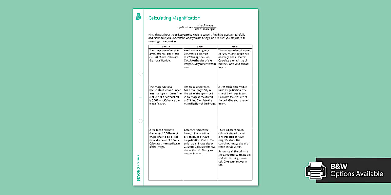 Calculating Magnification Worksheet | Science | Beyond