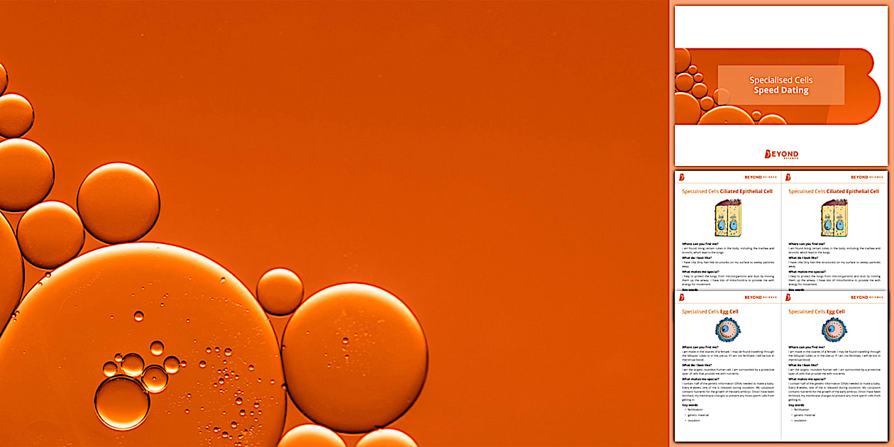 Specialized Cells Speed Dating (Teacher-Made) - Twinkl