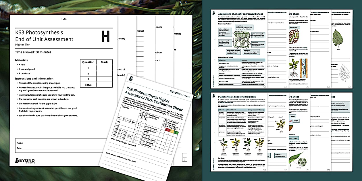 KS3 Photosynthesis End of Unit Assessment Pack Higher