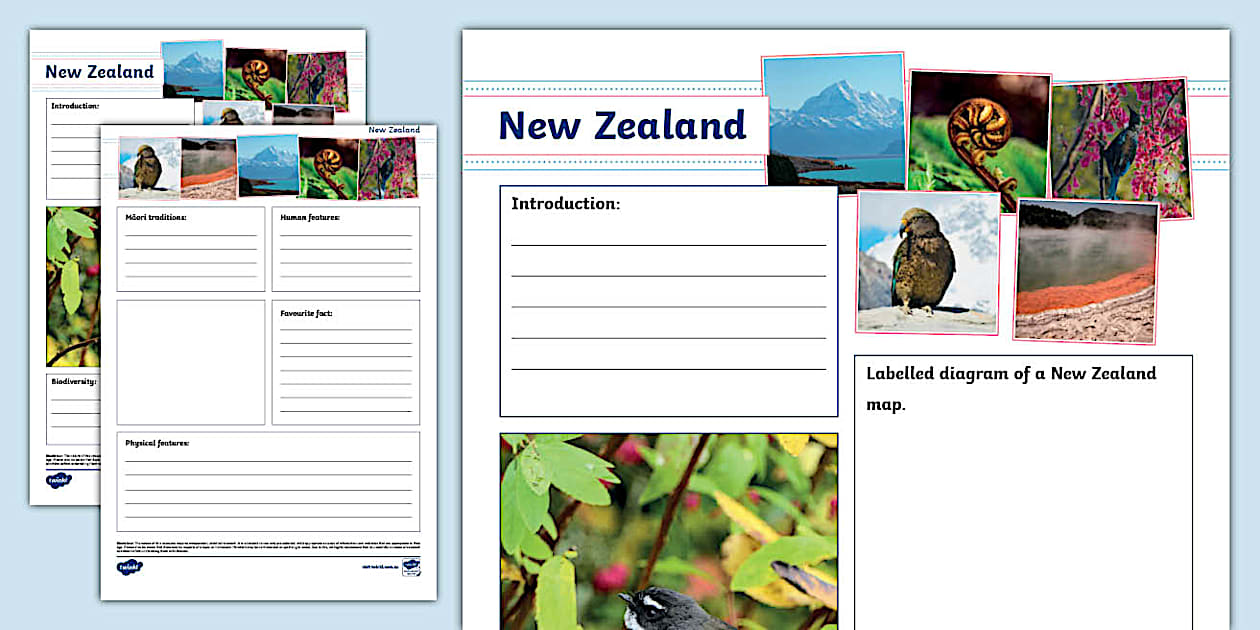 New Zealand Non-Chronological Report Template (Teacher-Made)