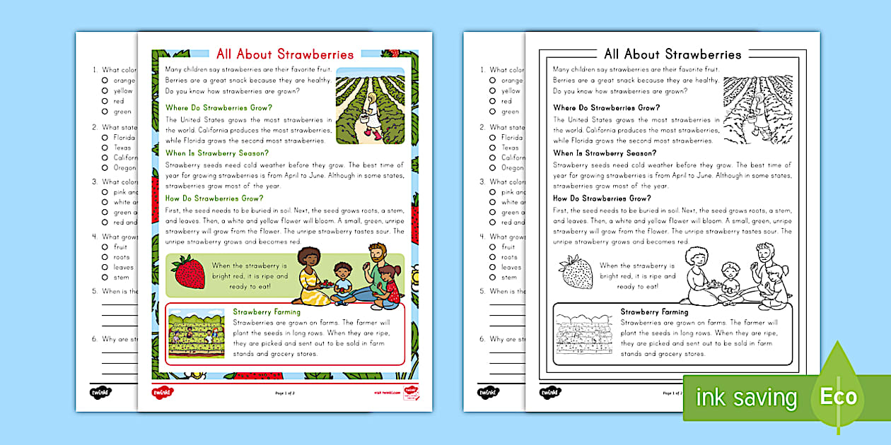 Second Grade All About Strawberries Reading Comprehension Worksheet