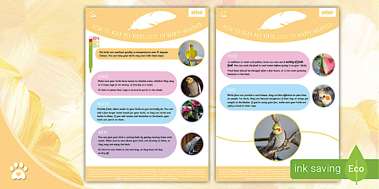 How to Keep Birds Cool - Information Sheet - Summer - Pets