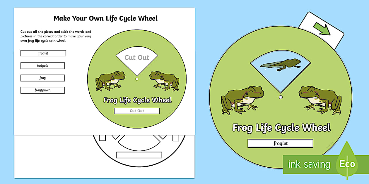 Make Your Own Life Cycle of a Frog Spin Wheel (Teacher-Made)