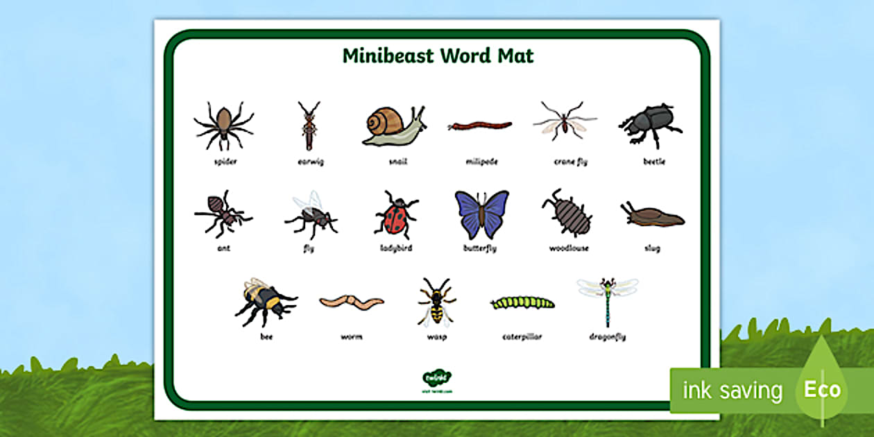 Minibeast Word Mat (phát triển bởi giáo viên)