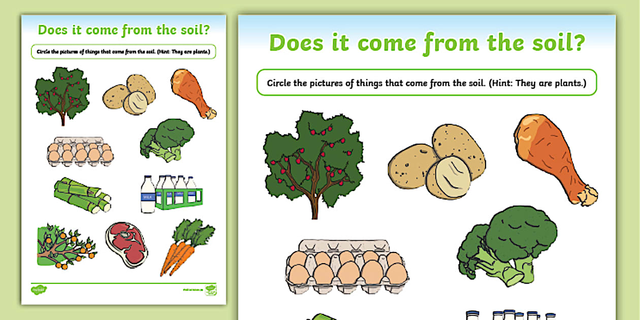 Grade 3 Life Skills: Does it come from the soil? - Twinkl