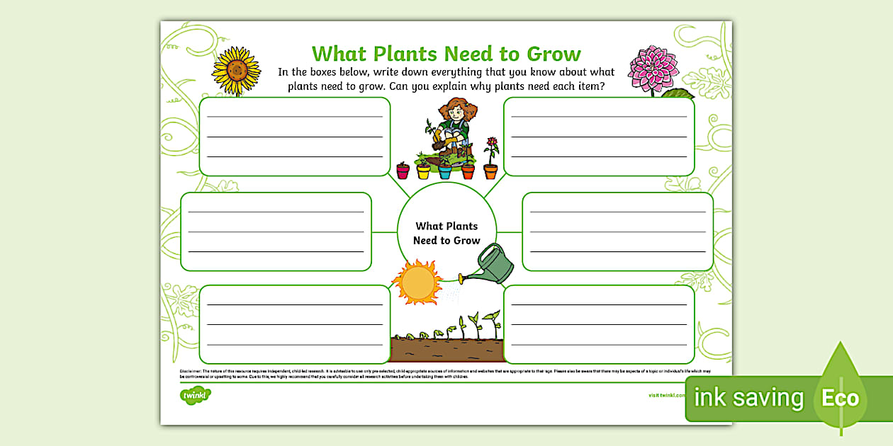 What Plants Need to Grow Mind Map (teacher made) - Twinkl