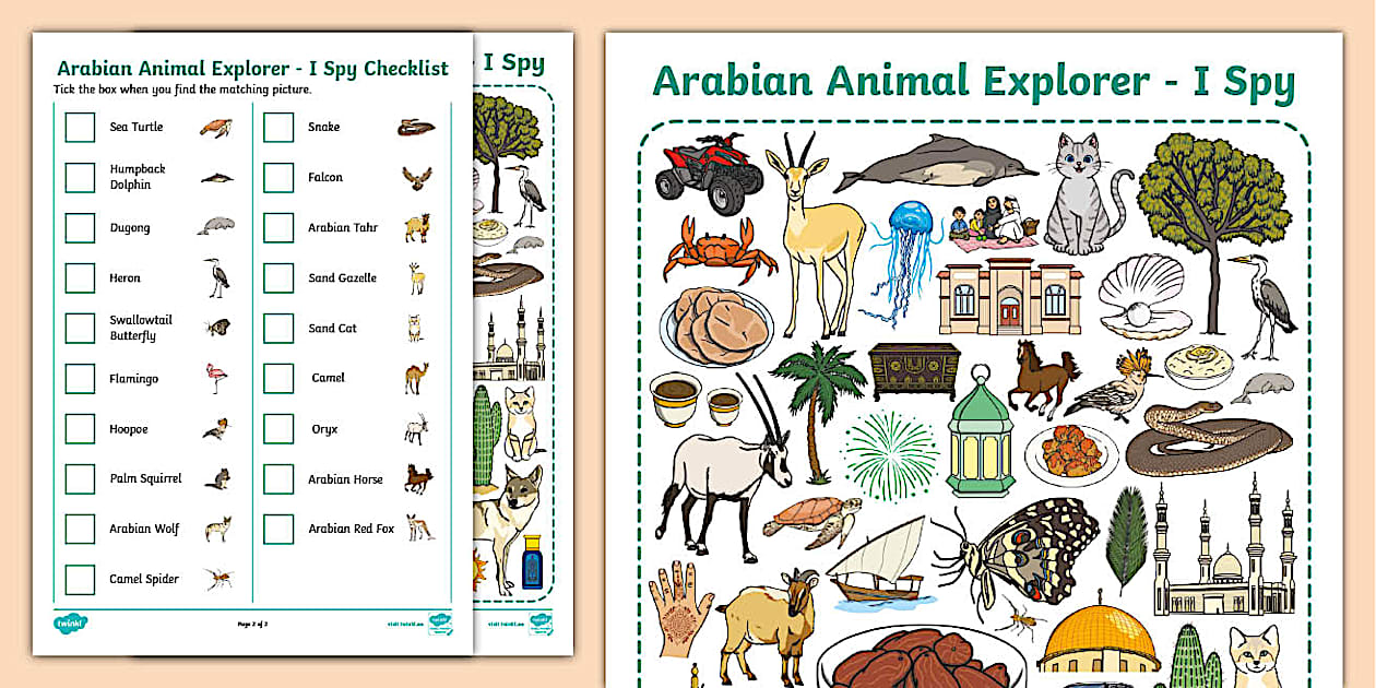 Arabian Animal Explorer – I Spy (Teacher-Made) - Twinkl
