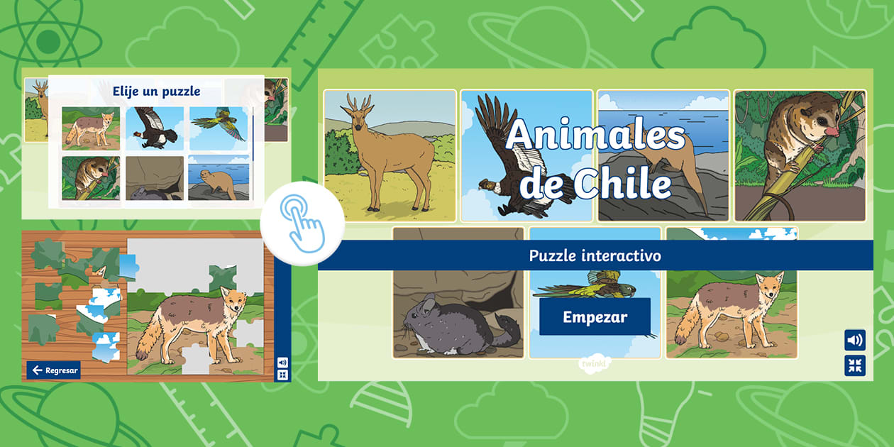 Puzzle Interactivo - Animales de Chile - Twinkl