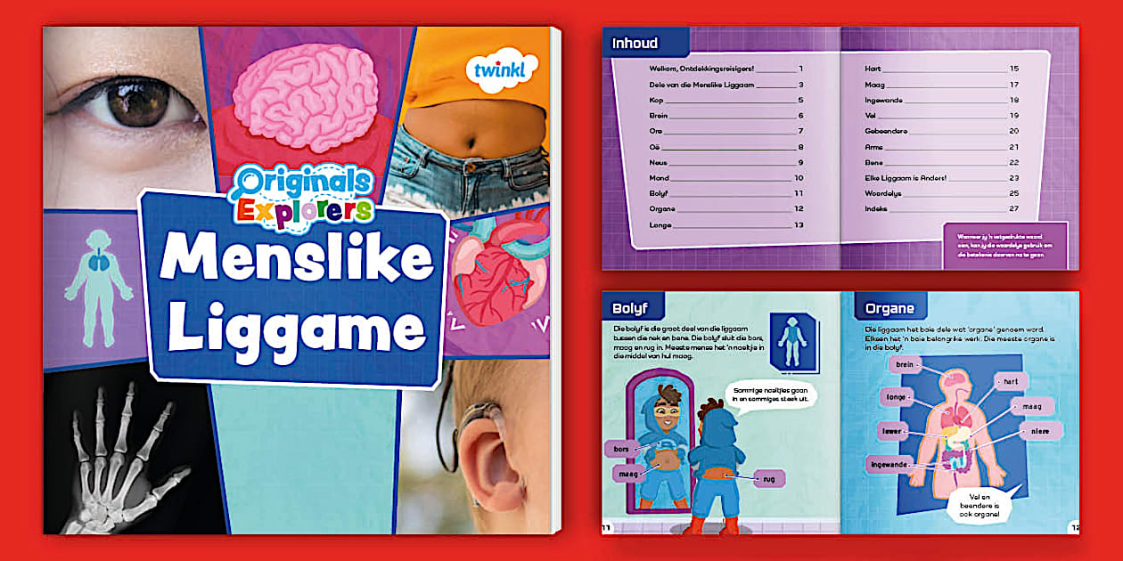 Die Menslike Liggaam eBoek (teacher made) - Twinkl