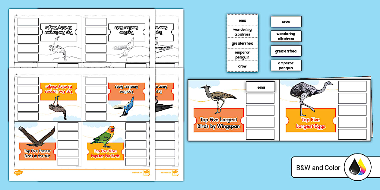 Top Five Lists of Birds Mini Book Cut and Paste Worksheet