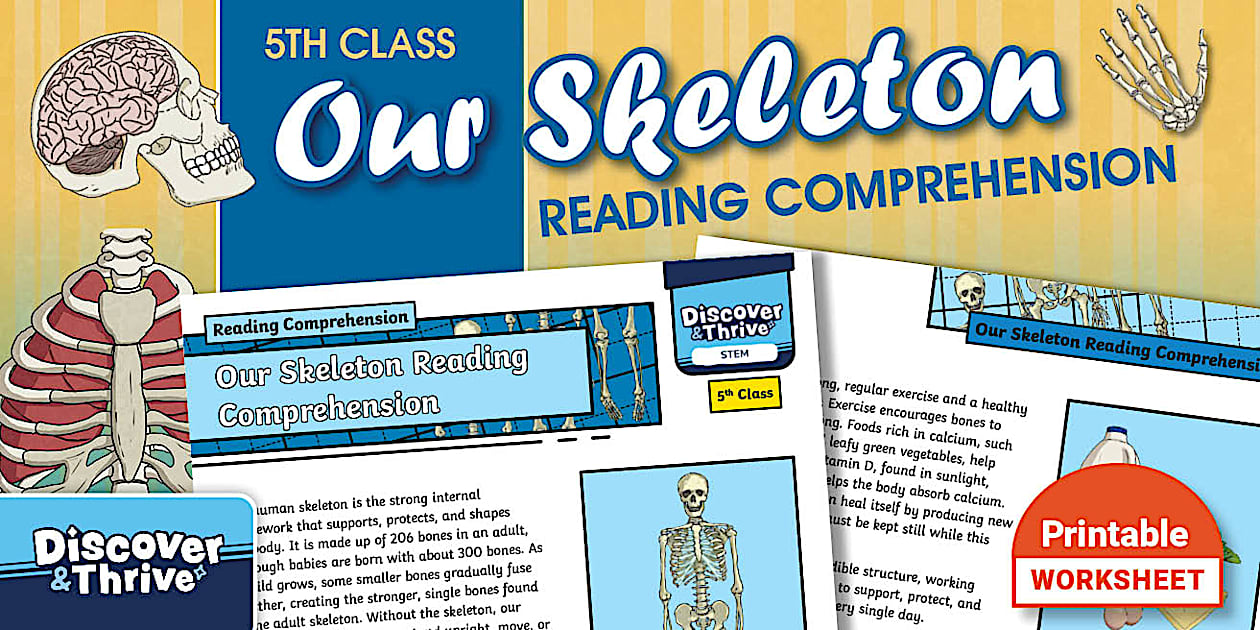 Our Skeleton Reading Comprehension 5th Class