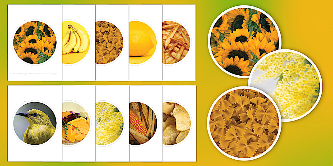 Yellow Objects Circle Display Photo Cut-Outs - Twinkl