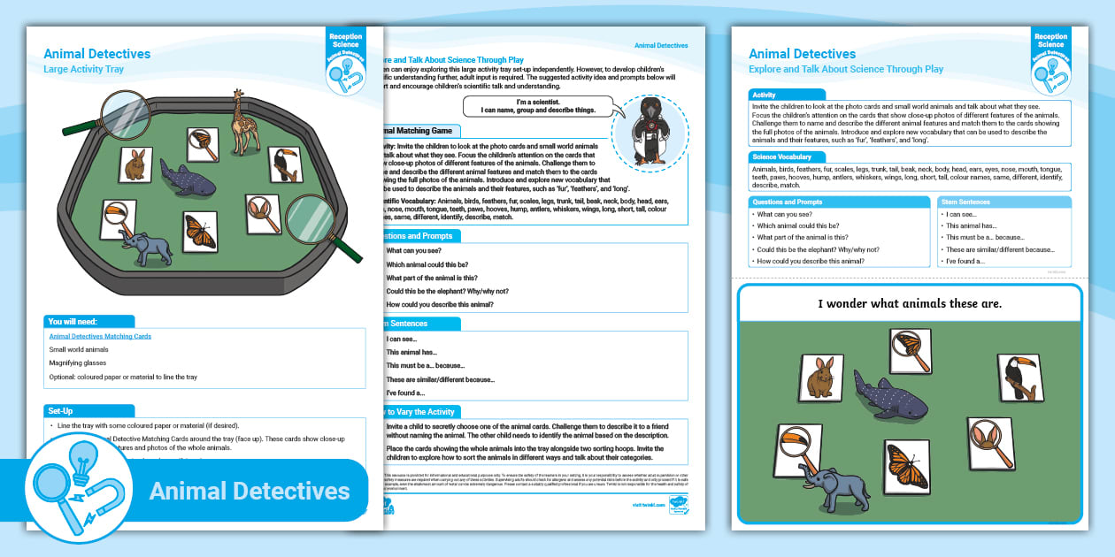 Kindergarten Science Animal Detectives - Supports White Rose Science