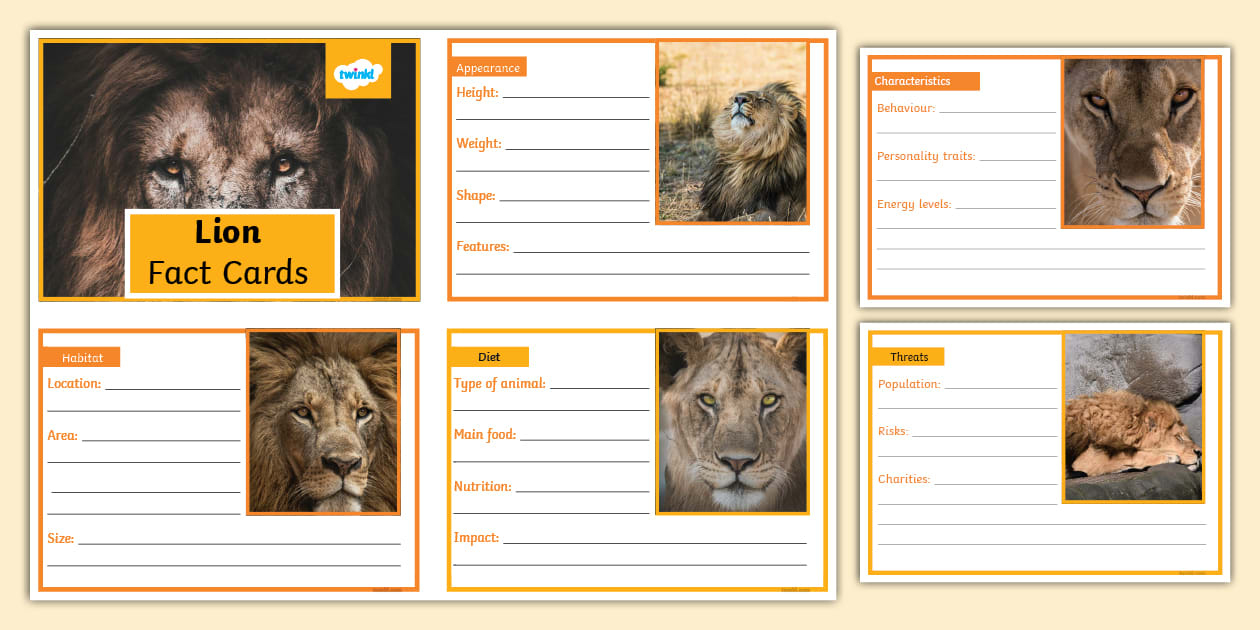 Lion Fact Cards Template (teacher made) - Twinkl