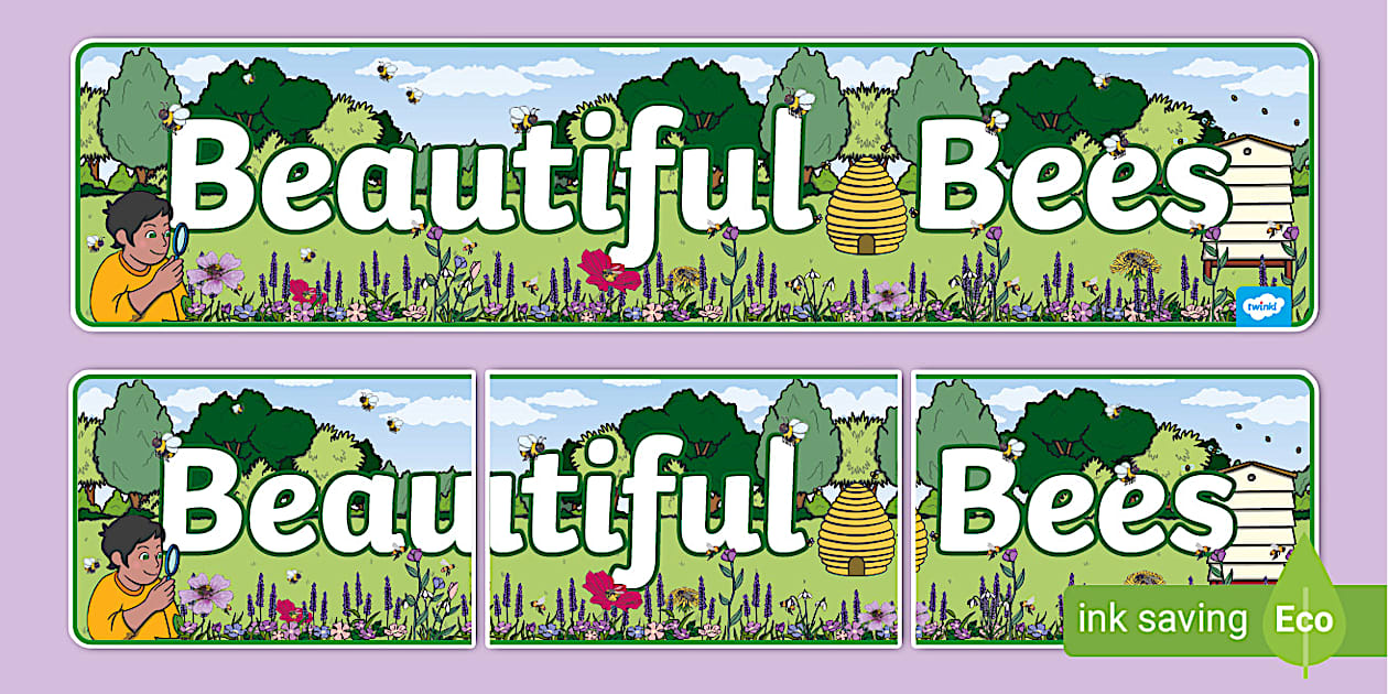 Beautiful Bees Display Banner (professor feito) - Twinkl