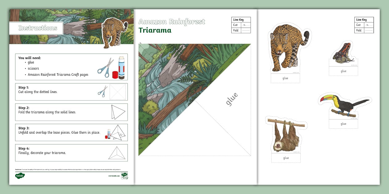 Amazon Rainforest Triarama Craft (teacher made) - Twinkl