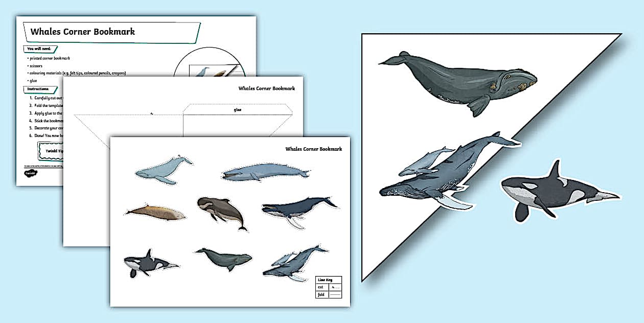 Whales Corner Bookmark - Twinkl Classroom Management