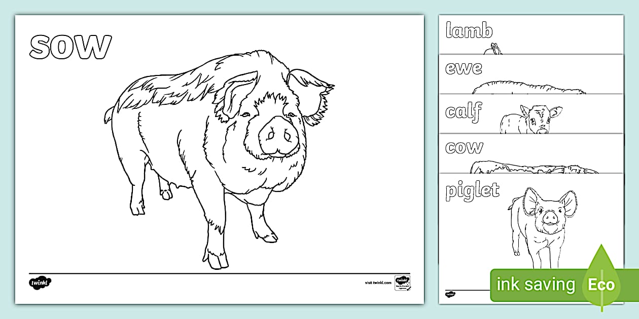 Farm Animals and Their Babies Colouring Pages - Twinkl - KS1