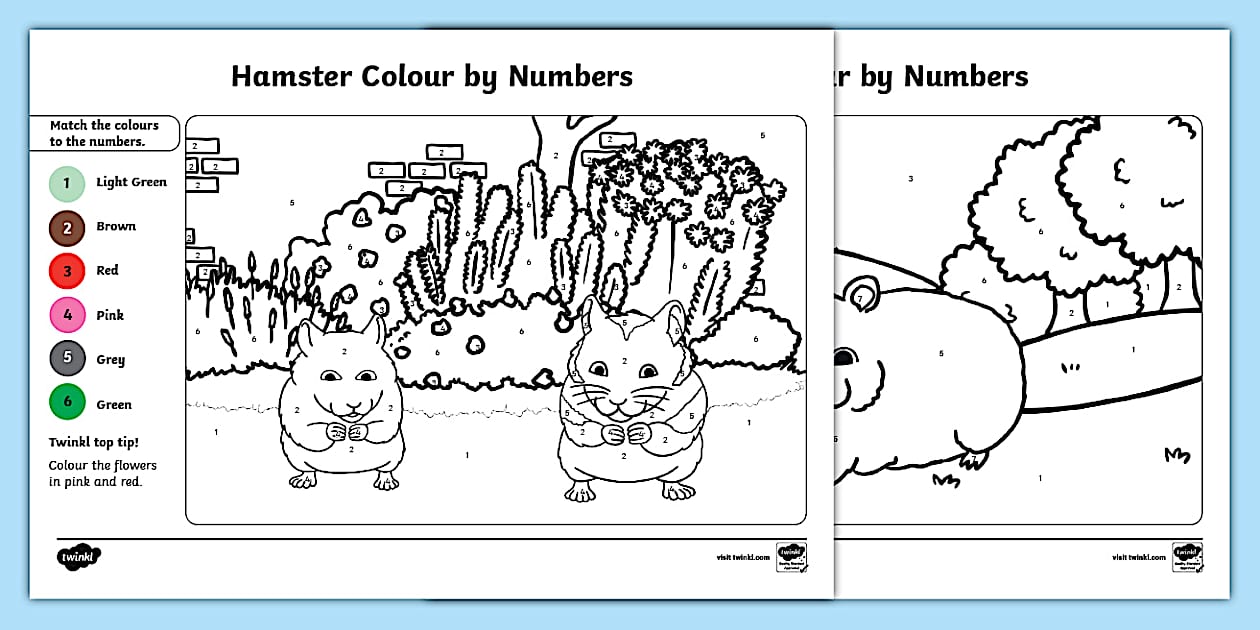 Hamster Colour by Number Pages (teacher made) - Twinkl