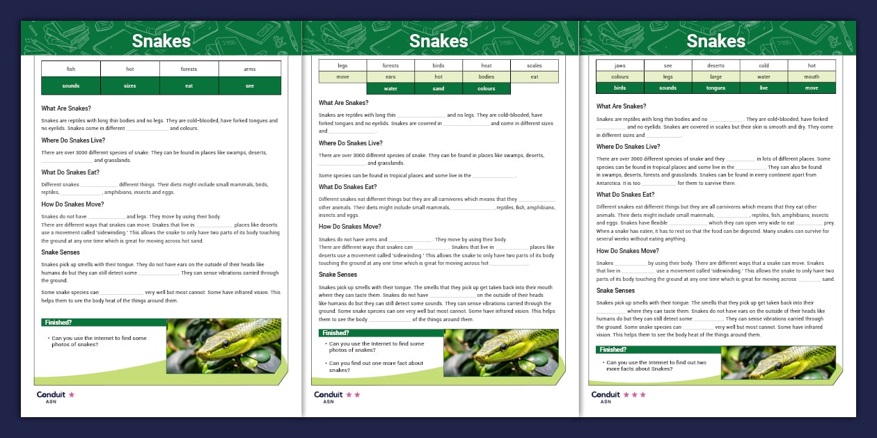 Reinforcing Reading: Snakes Differentiated Cloze Passages