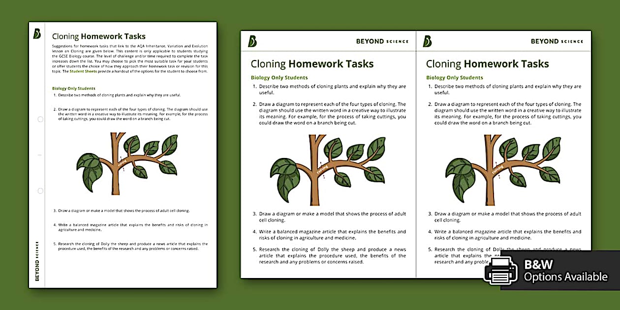 Cloning Homework and Revision Tasks (teacher made) - Twinkl