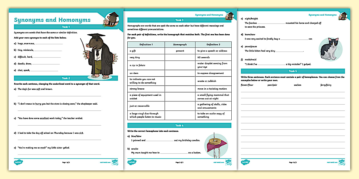 Synonyms and Homonyms Activity Sheets (teacher made)