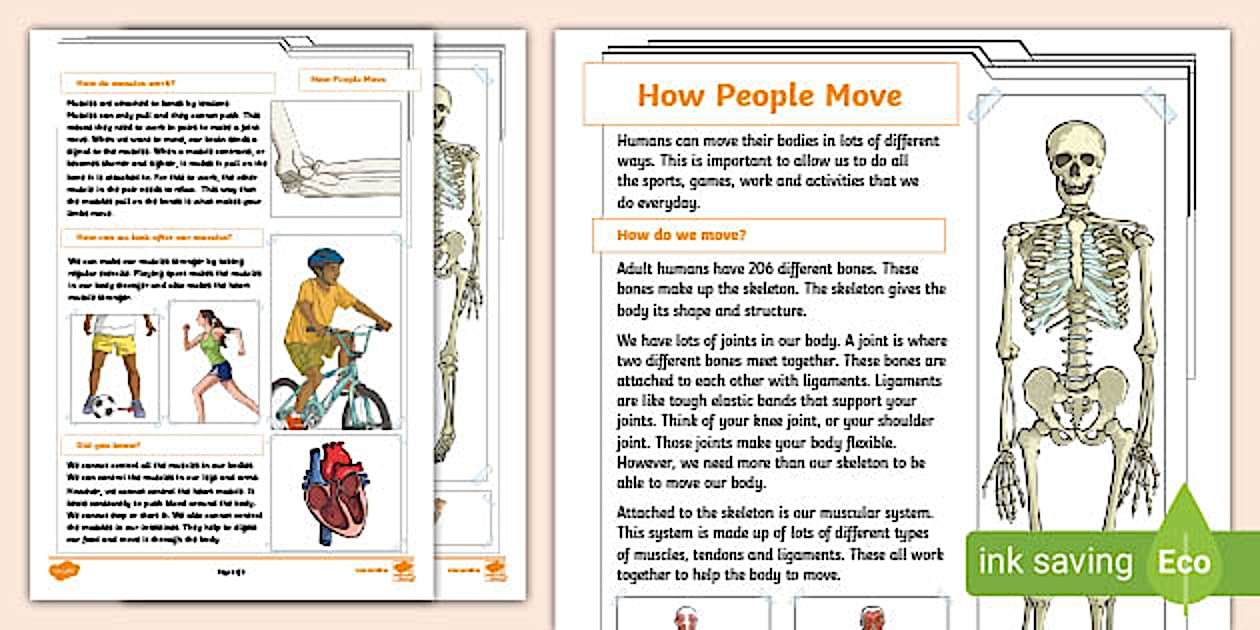 How People Move, Science, 3rd & 4th Classes, 5th & 6th Classes