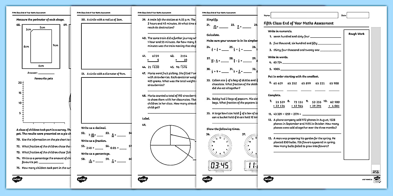 Fifth Class End of Year Maths Test Sheet (teacher made)