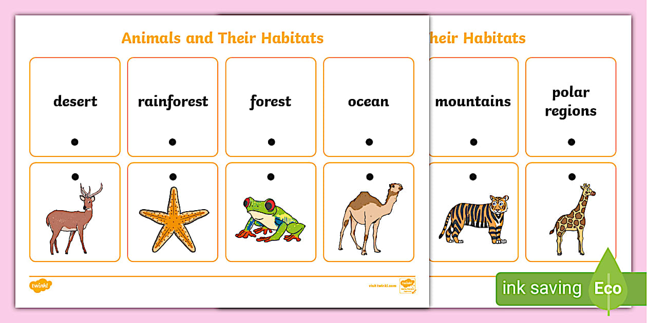 Animals and their Habitats Thread Matching Activity - Twinkl